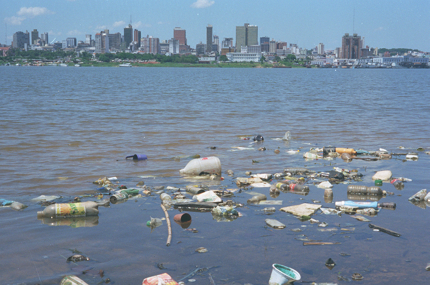 Descubre Las Consecuencias De La Contaminación Del Agua